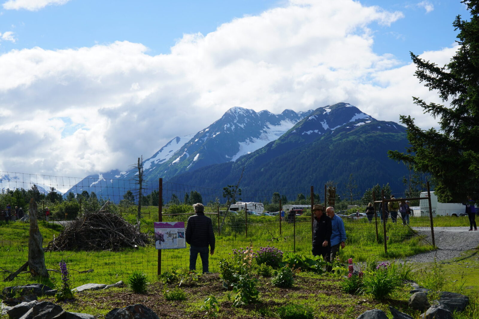 DSC02117 - ACT BIG BUS - Alaska Cruise Transportation