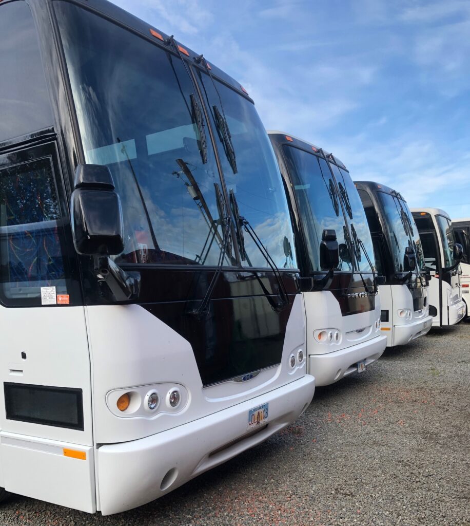 Anchorage to Denali Bus Transportation Daily Services - door to door